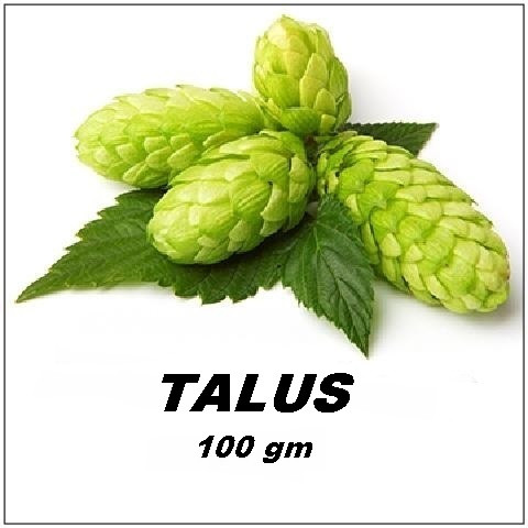 Talus Hops | Big Bubble