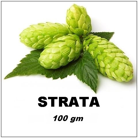 Strata Hops | Big Bubble