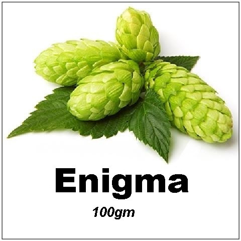 Enigma Hops | Big Bubble