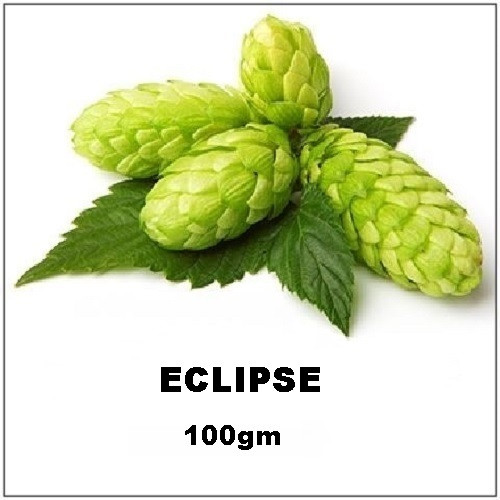 Eclipse Hops | Big Bubble