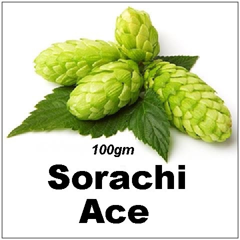 Sorachi Ace Hops | Big Bubble