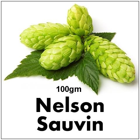 Nelson Sauvin Hops | Big Bubble