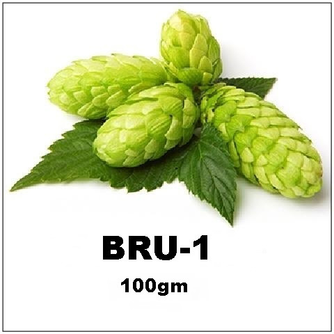 BRU-1 Hops | Big Bubble