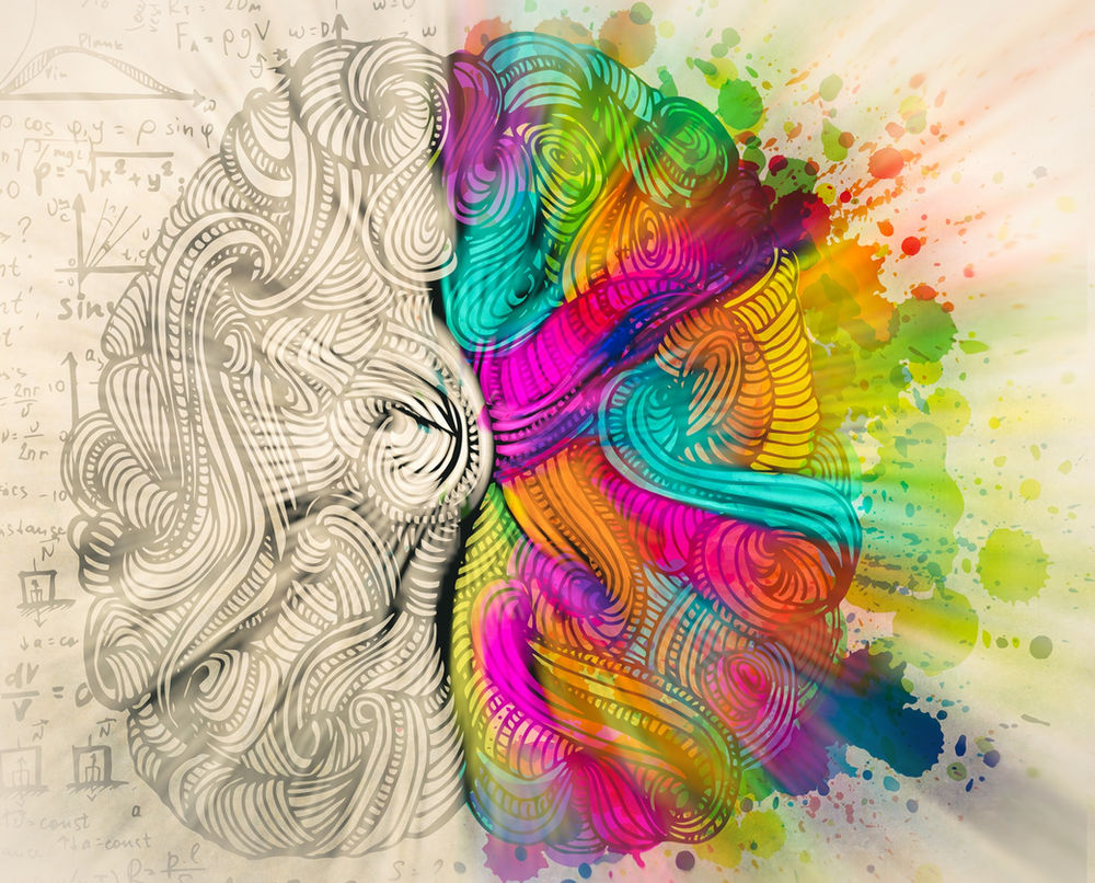 RELEASED! Insight into a Bright Mind: A Neuroscientist's Personal ...