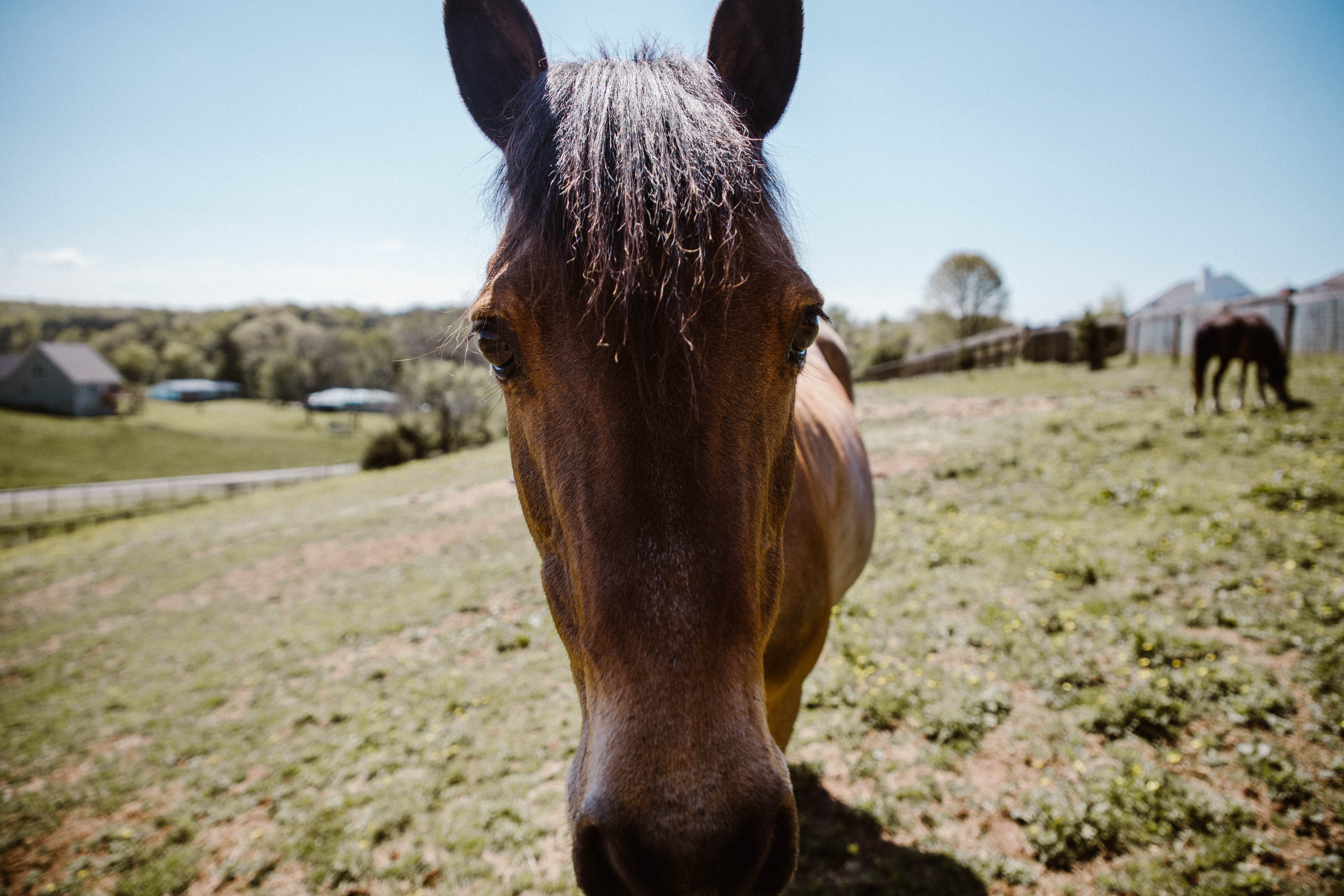KGH | Noah's Ark Farm