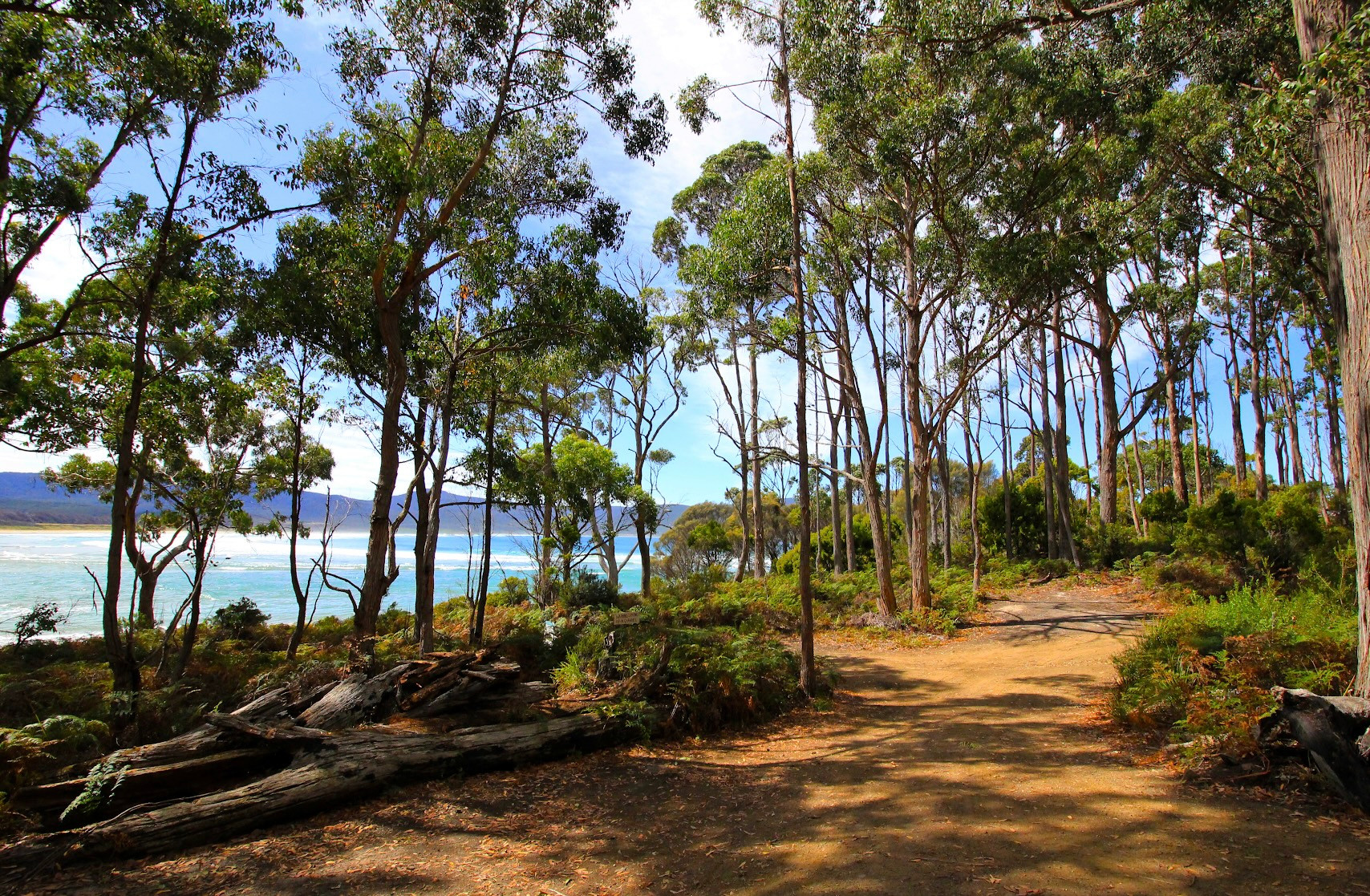 About | Camping At Bruny Island