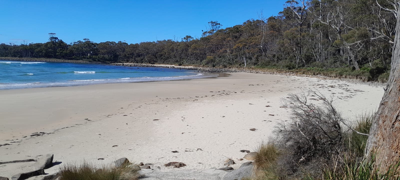 Terms | Camping At Bruny Island