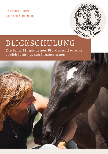Workbook 2: Blickschulung Mimik | Intuition Pferd
