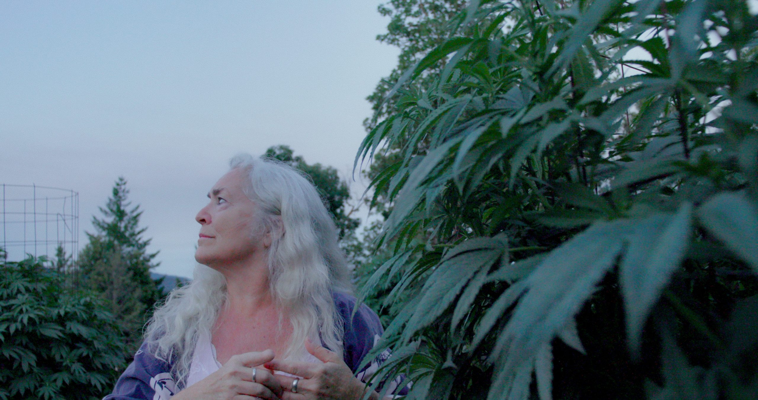 Freeland Review | Film Reviews