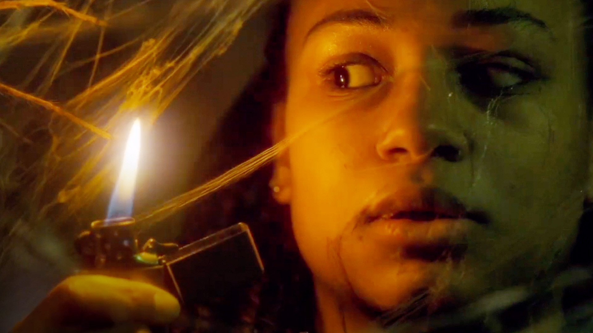 Infested Review | Film Reviews