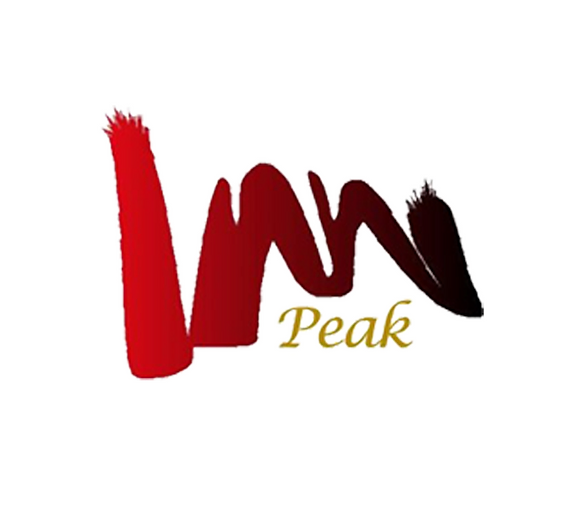 TSI Security Solutions | Singapore CCTV