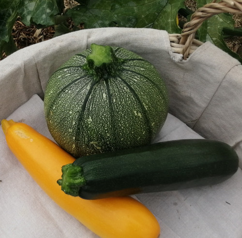 Trio de Courgettes (1kg) | Friendly Veggies