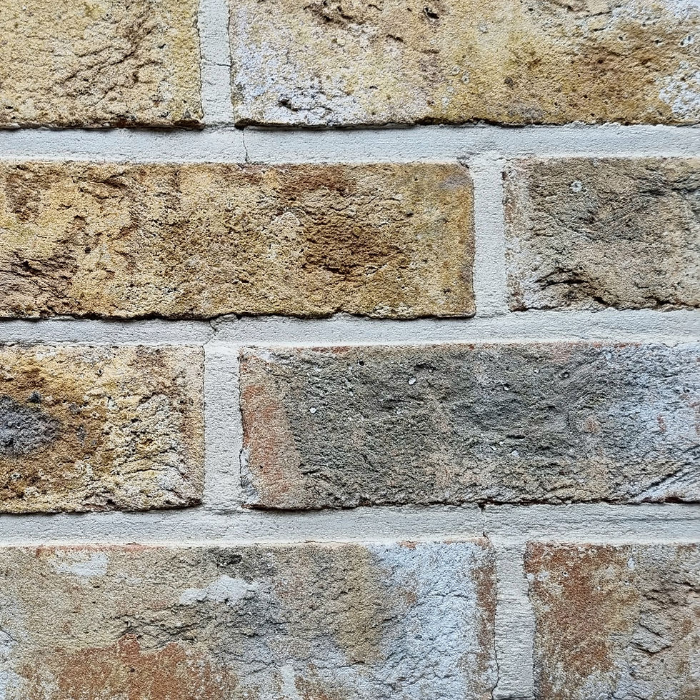 Con Mosso | Brick + Co.