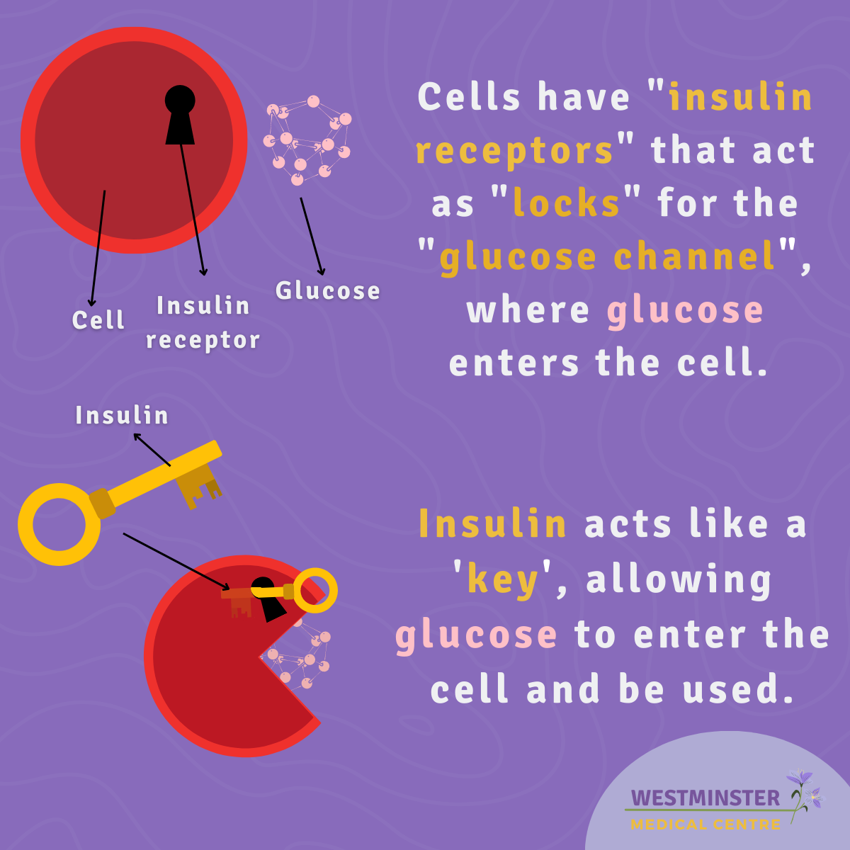 What is Gestational Diabetes?