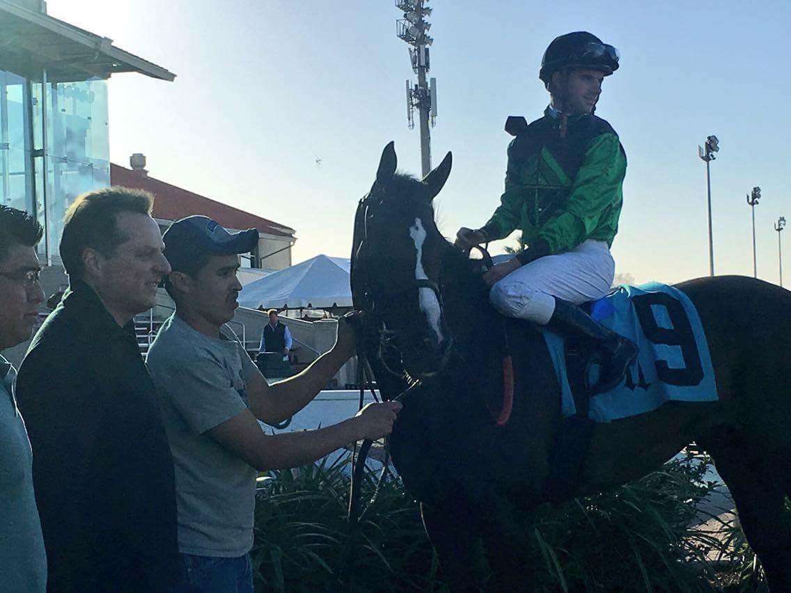 Home | tomamossracingstable