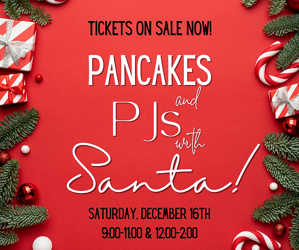 Indoor Playground | The Treehouse Play Cafe | Lake Zurich