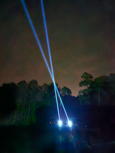 RCOR MOONSHINE LASER WHIPS - SET OF 2 | Right Coast Off-road