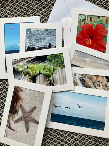 Florida Snaps White (10 card set) | jenniferbondbaker