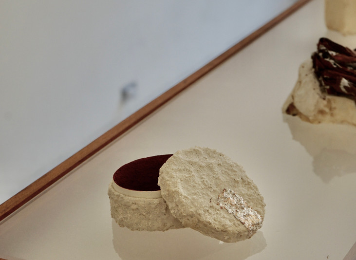 Subversive Preservation | Kate Strachan Artist