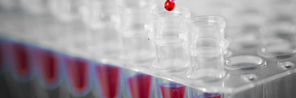 SERVICES | My Clinical Lab