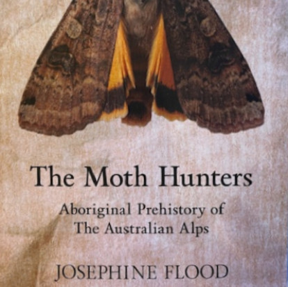 The Moth Hunters by Dr.Josephine Flood | TableTop Press Books