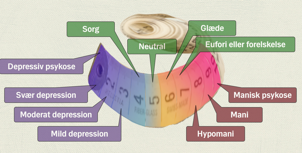 Bipolar Affektiv Lidelse