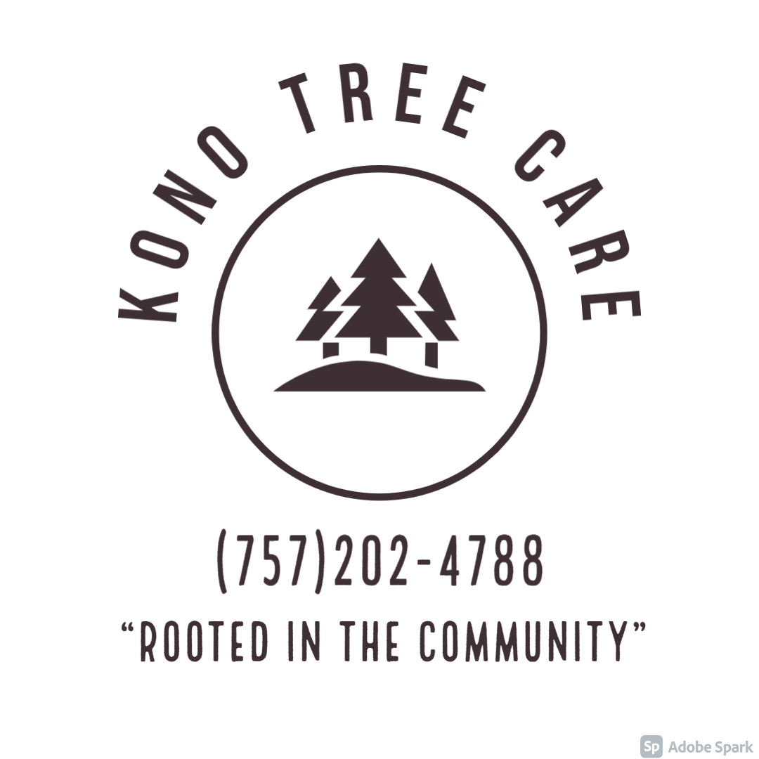 Kono Tree Care | Tree Cutting Service | Virginia Beach