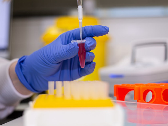 Join Us Overview | Akamis Bio | Tumor Gene Therapy