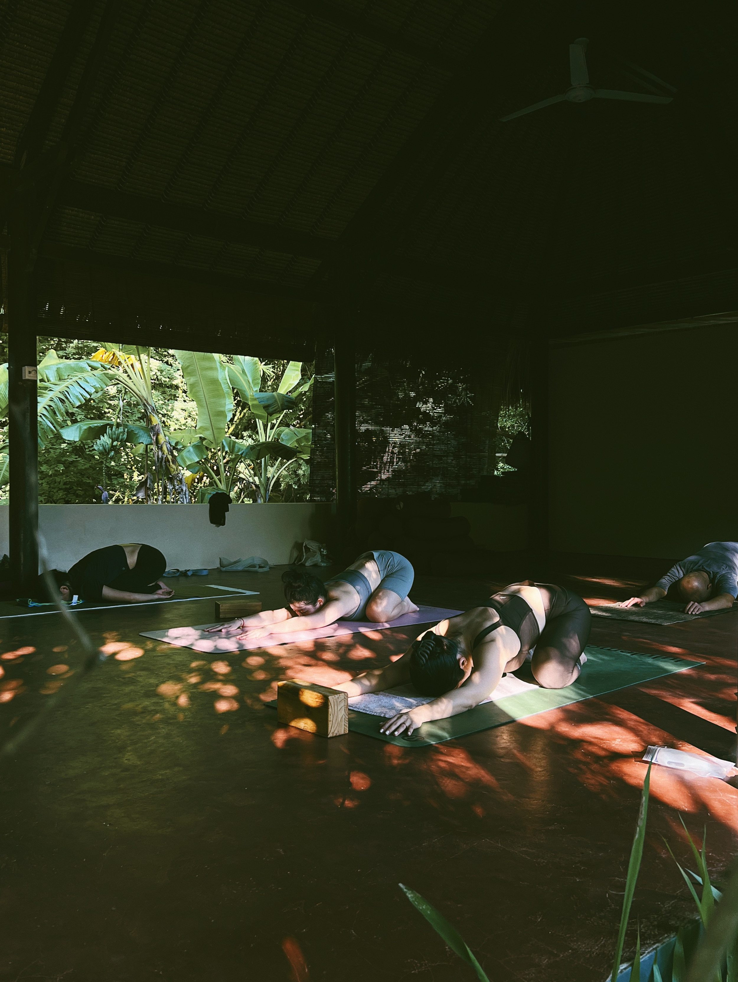 BLOG | Atman Holistic