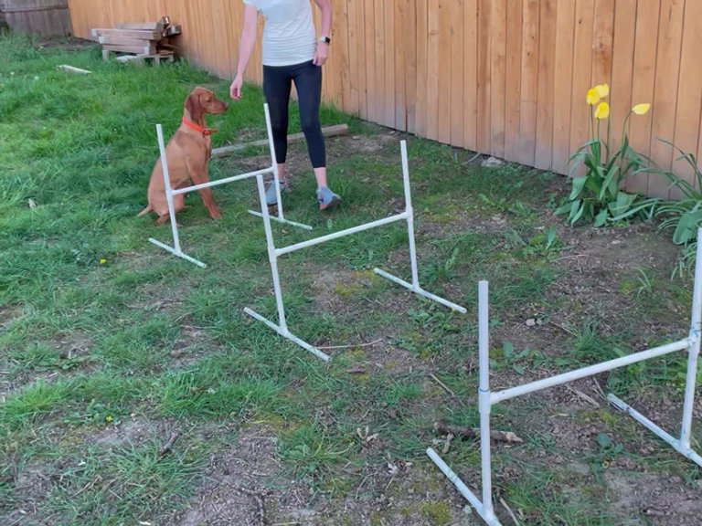DIY hurdles