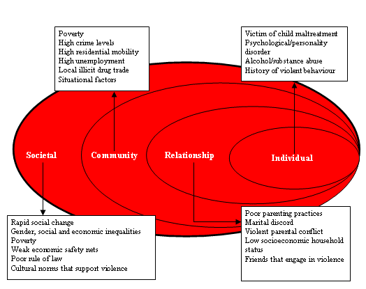 Socio-ecological model for violence and trauma prevention strategies