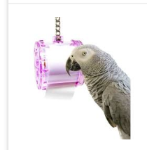 Tricket box swing | ParrotStation