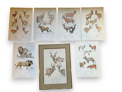 SET OF 7 ROWLAND WARD AFRICAN GAME ANIMALS PRINTS | newtometn.com