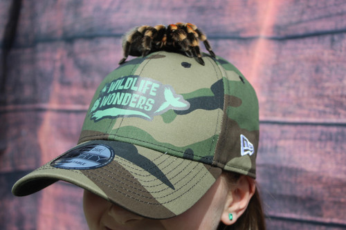RANGER BASEBALL CAP | Wildlife Wonders UK
