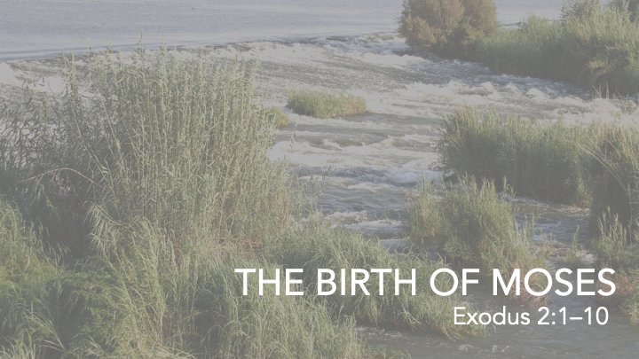 The Birth of Moses