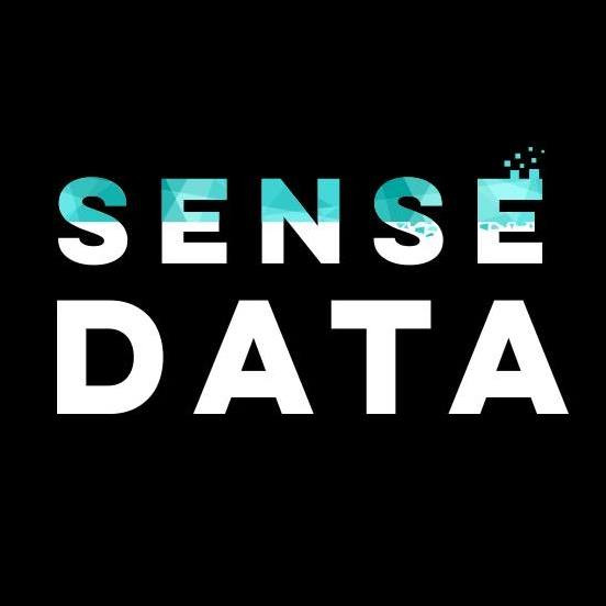Digital Creative Specialist | Sense Data | Auckland