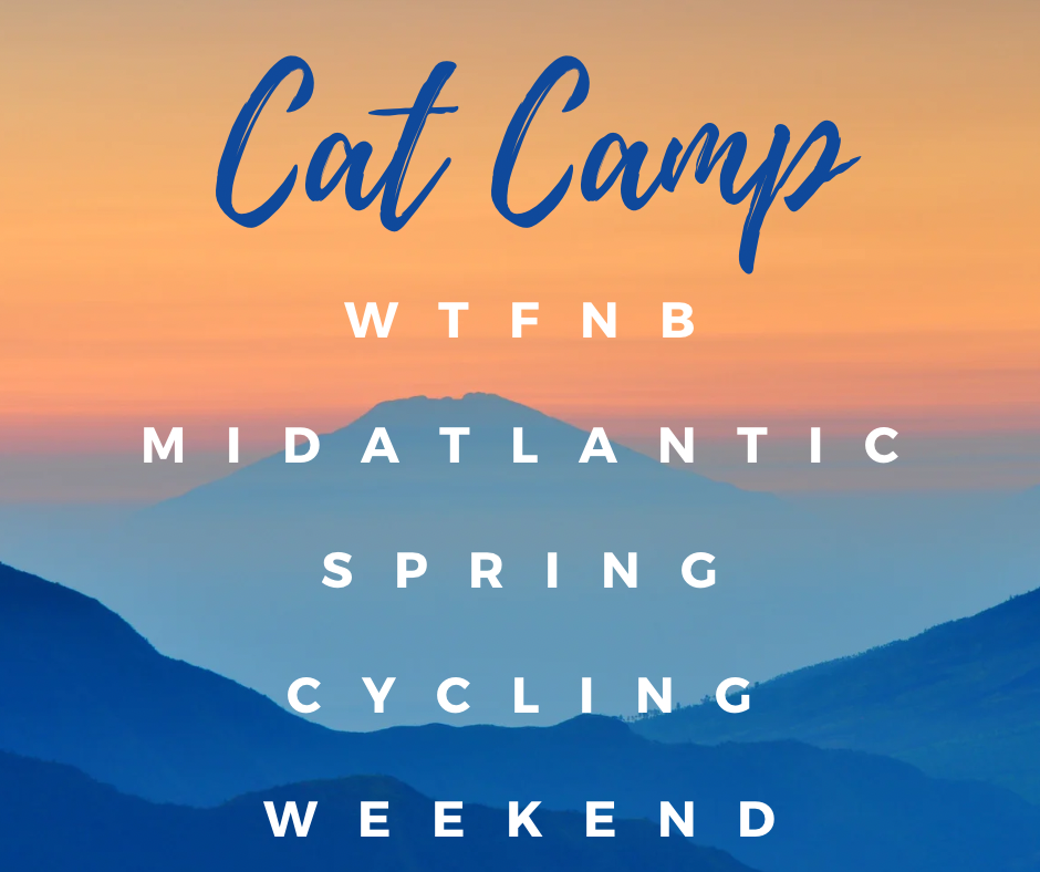 Cat Camp | Dirty Kitten Gravel