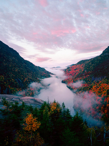 As It Should Be, 2020 by Nevin Johnson | Colonna Contemporary