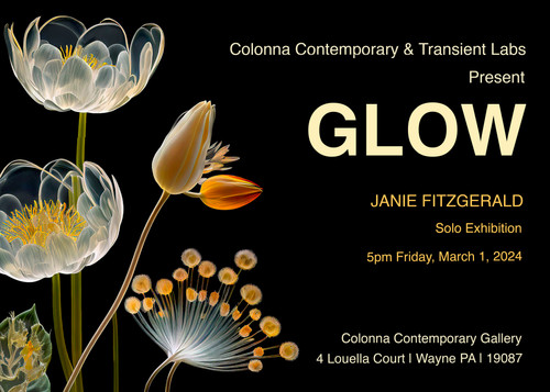 GLOW | Colonna Contemporary