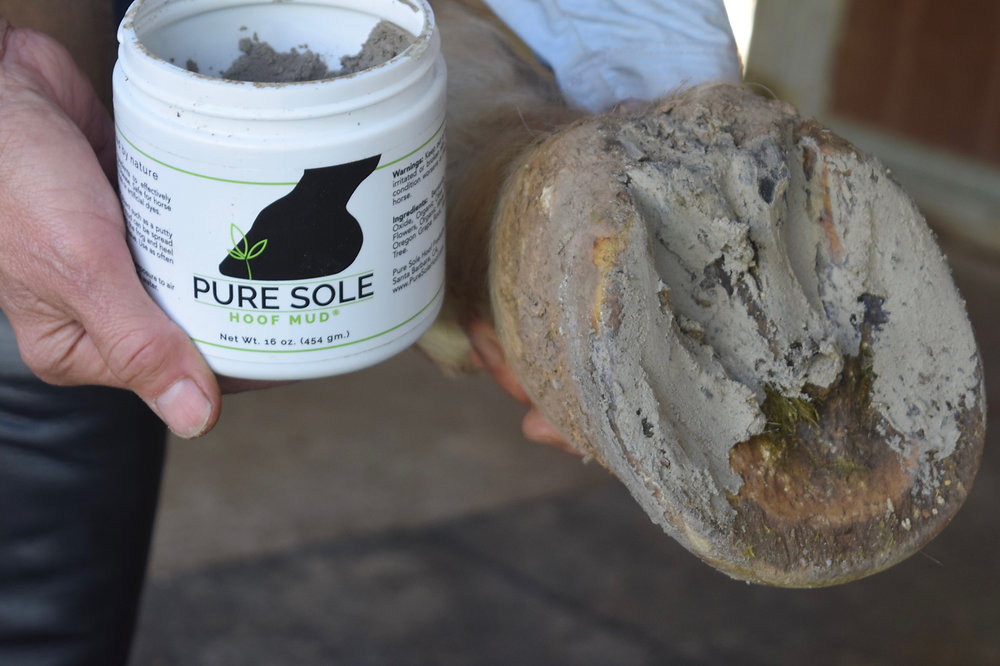 Get to know Pure Sole Hoof Mud