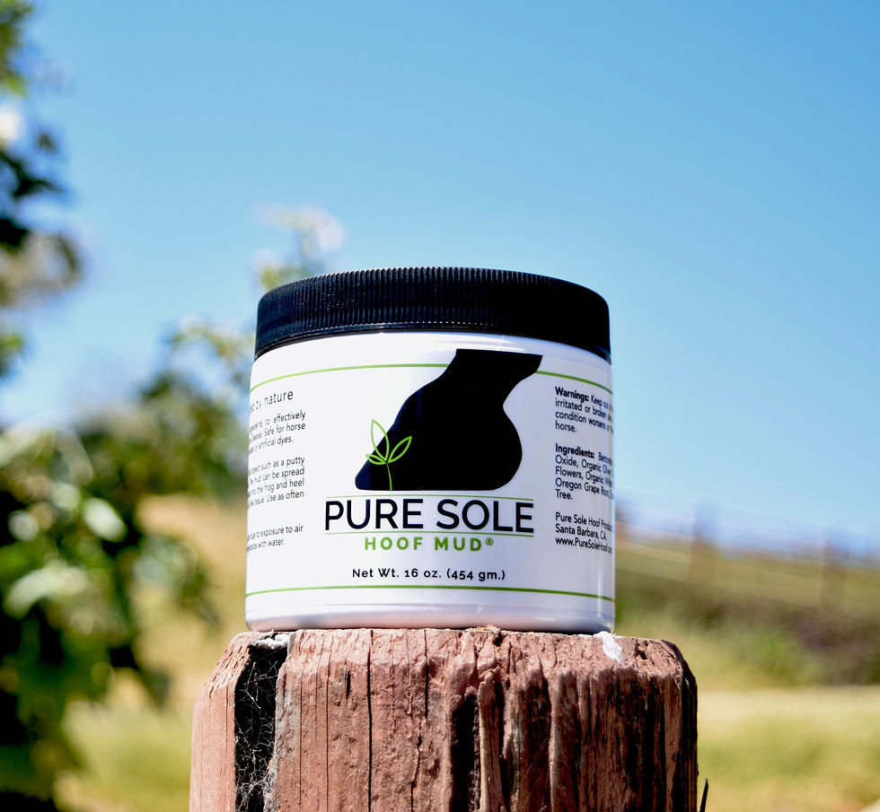 SHOP | Pure Sole Products