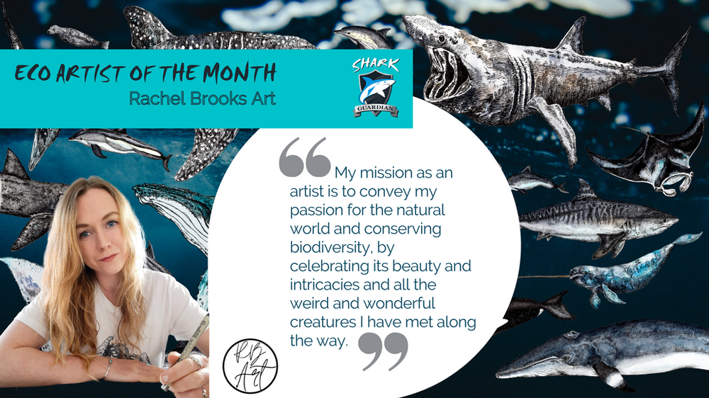 November Eco-Artist: Rachel Brooks Art