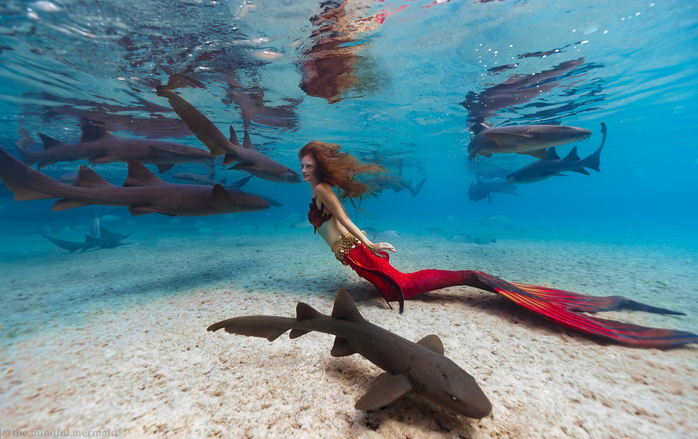 Meet the newest Shark Guardian 'Mermaid' Ambassador Sara Ferguson