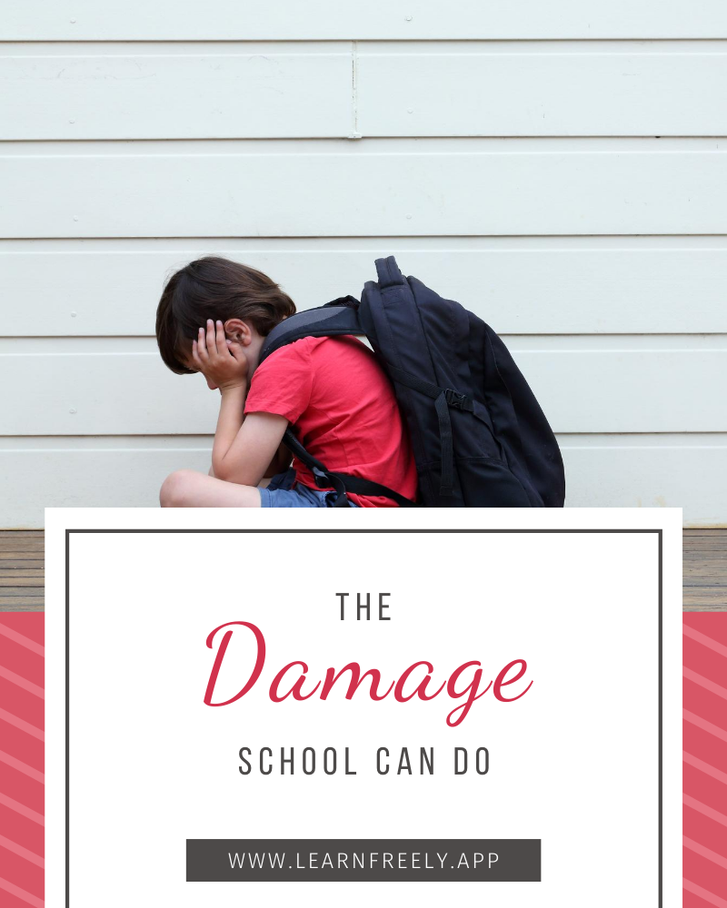 The Damage School Can Do