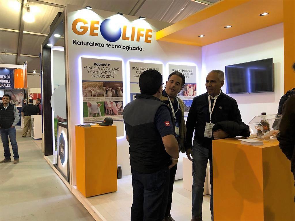 Geolife | vision-porcina