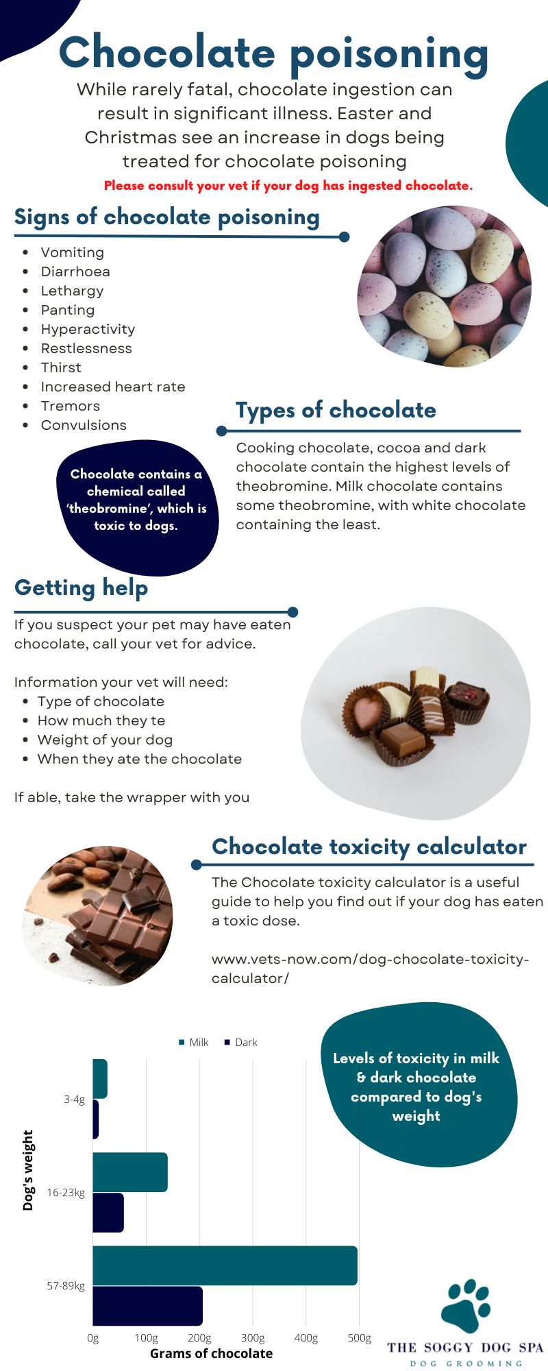 Chocolate poisoning in dogs