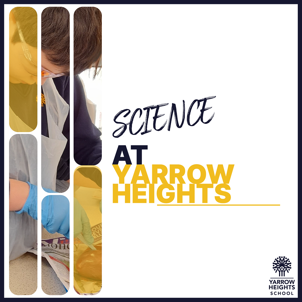 Science at Yarrow Heights