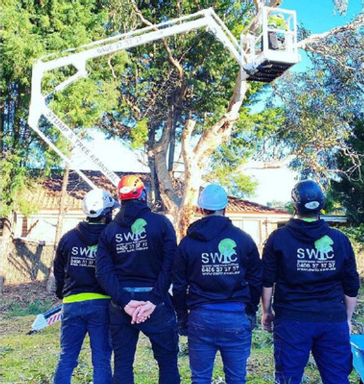 Why should you call out an expert tree cutting service provider?