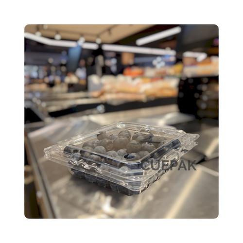Self Sealing 125g Berry Punnet | 1000pcs Per CTN | CUEPAK | CUE BR Plastics