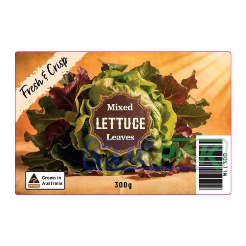 Mixed Lettuce Leaves Stickers 300g | 500 Labels Per Roll